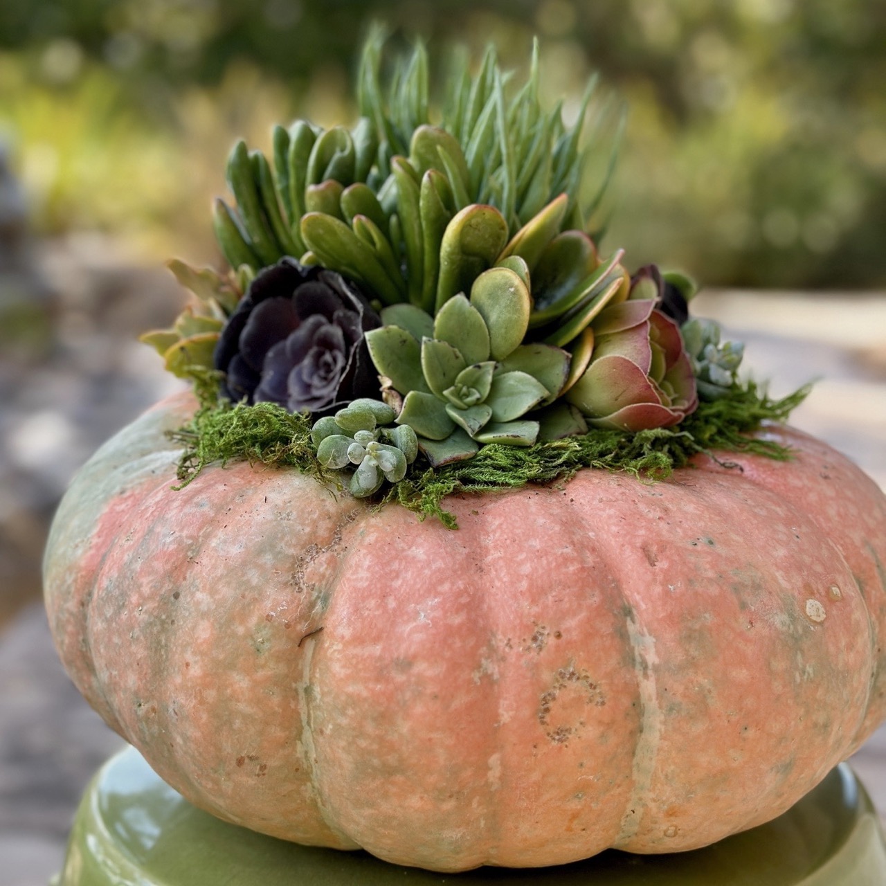 Pumpkins for Good - Community Resource Center
